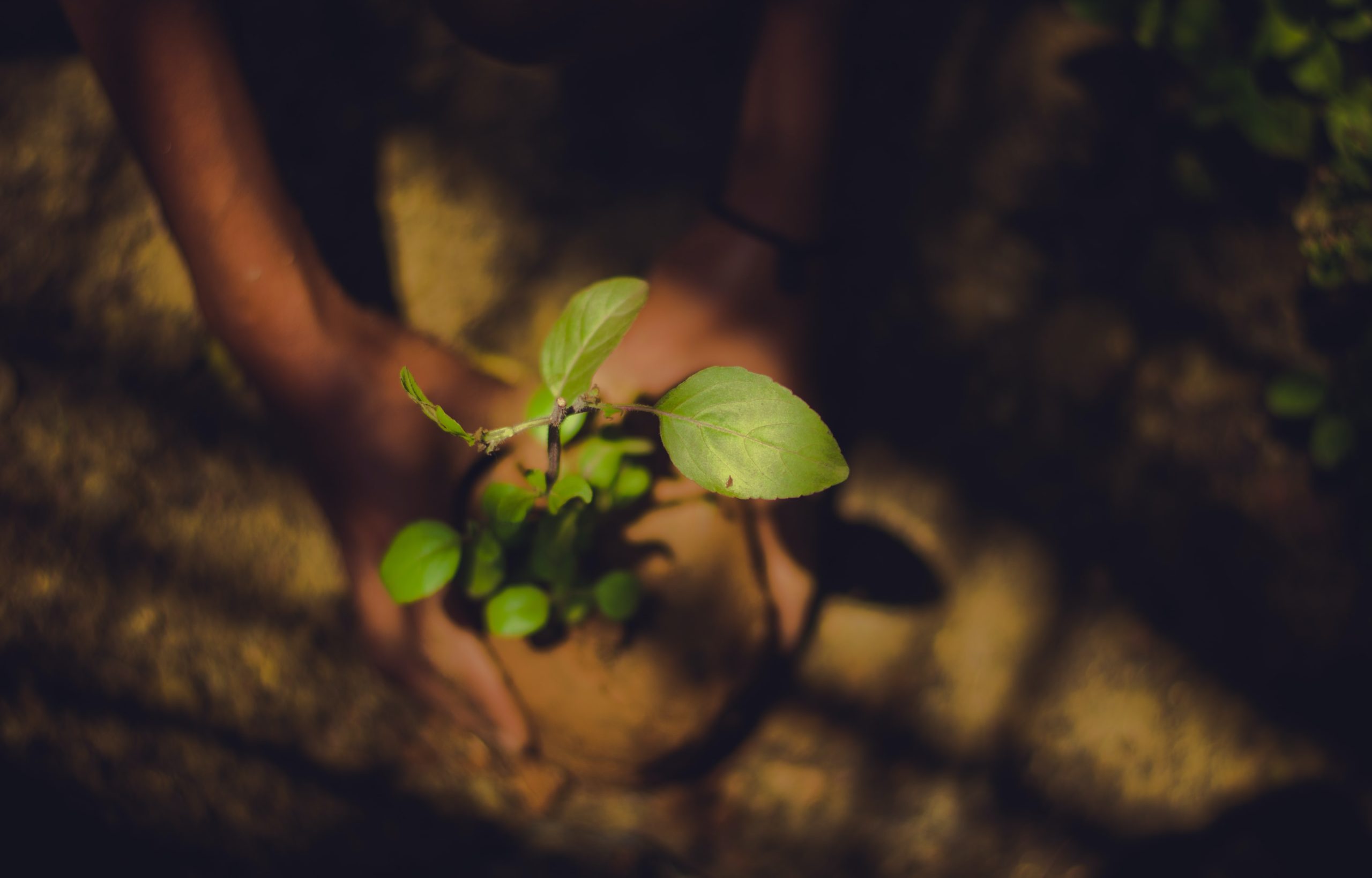 ChurchPulse Weekly Conversations: Sam Collier on Church Planting ...