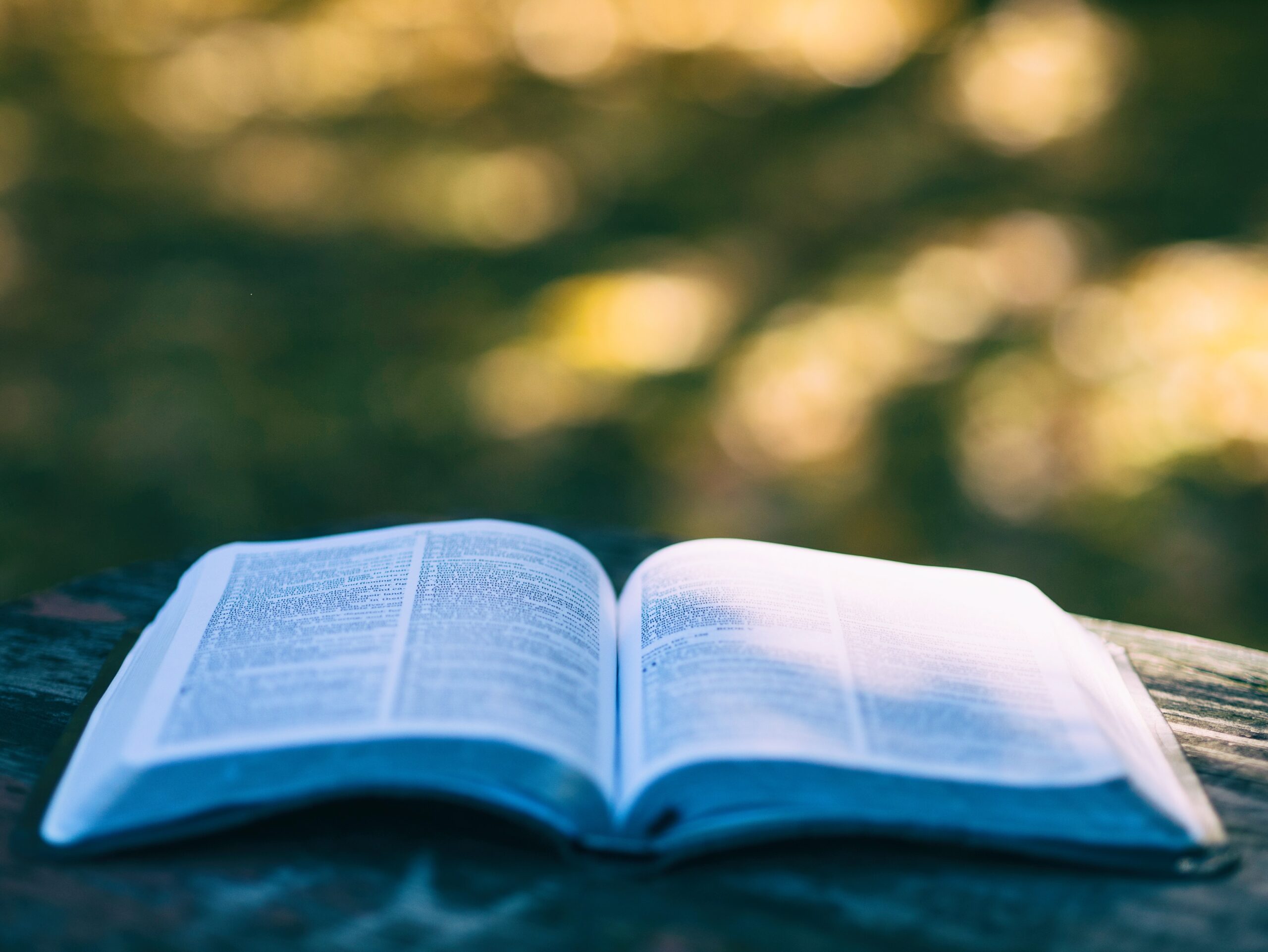 State of the Bible 2021: Five Key Findings - Barna Group